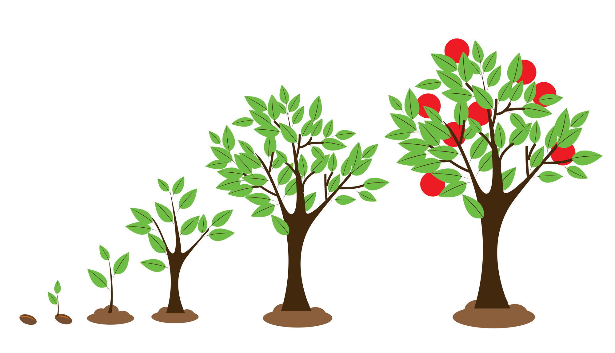 Tree Growth DFKANZ
